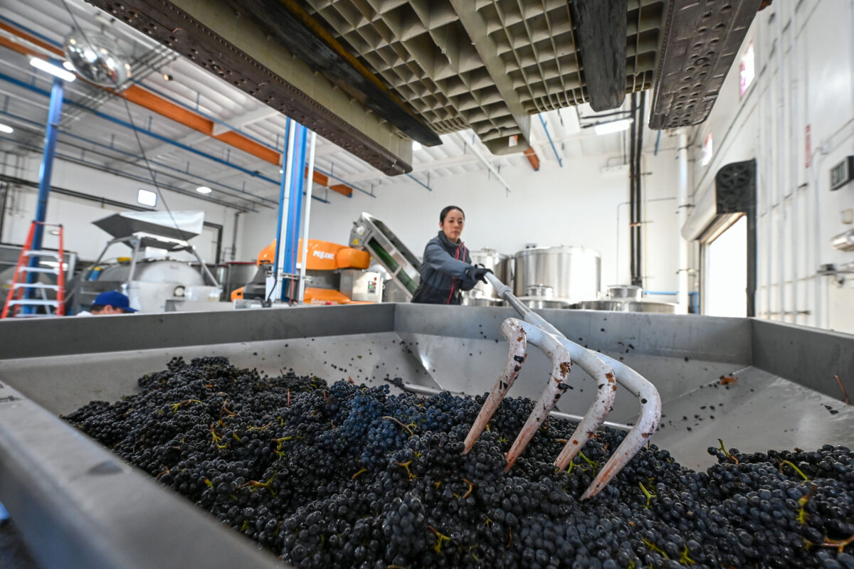 News & Events - The Wine Foundry